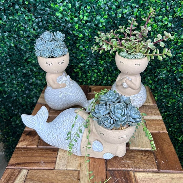Mermaid Succulent Planter - Etsy