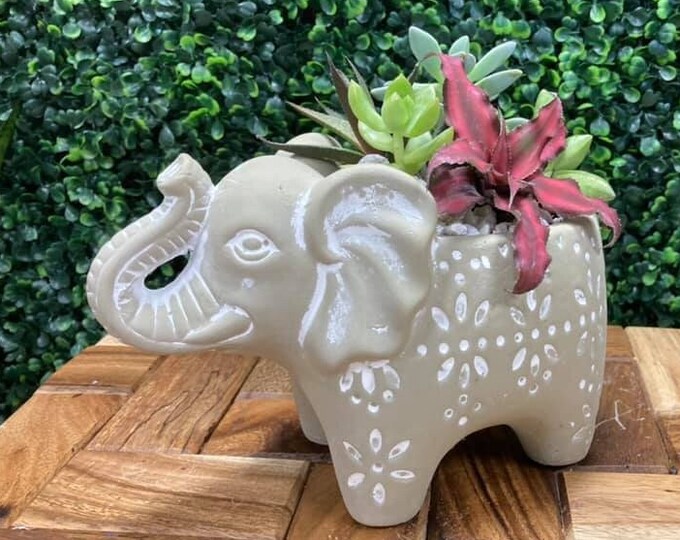 Elephant Planters // Air Plant Terrariums // White Elephants - Etsy