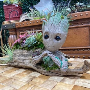 Baby Groot on Driftwood With Live Succulent Arrangement / Marvel ...