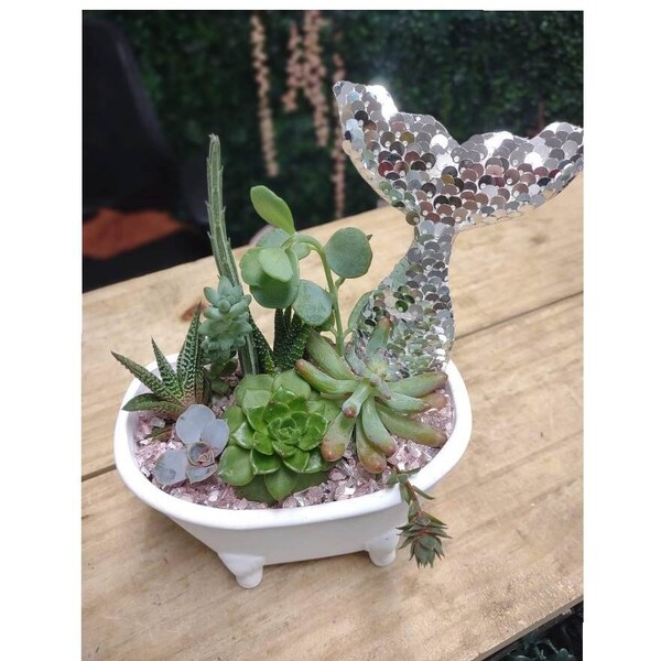Mermaid Succulent Planter - Etsy
