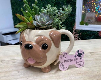 Pug Dog Planter - Etsy