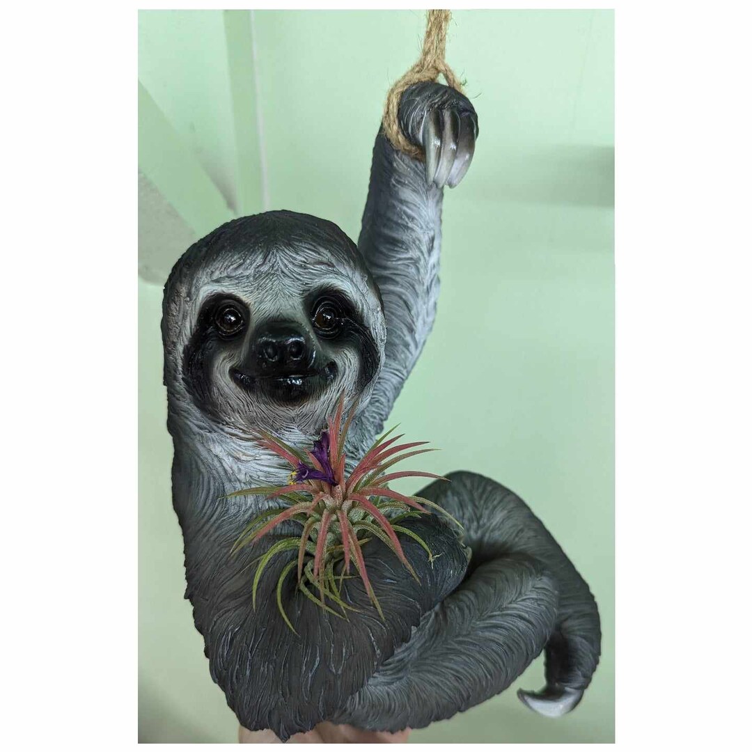Realistic Sloth Hanger With Live Air Plant/ Climbing/ Rope/ Garden ...