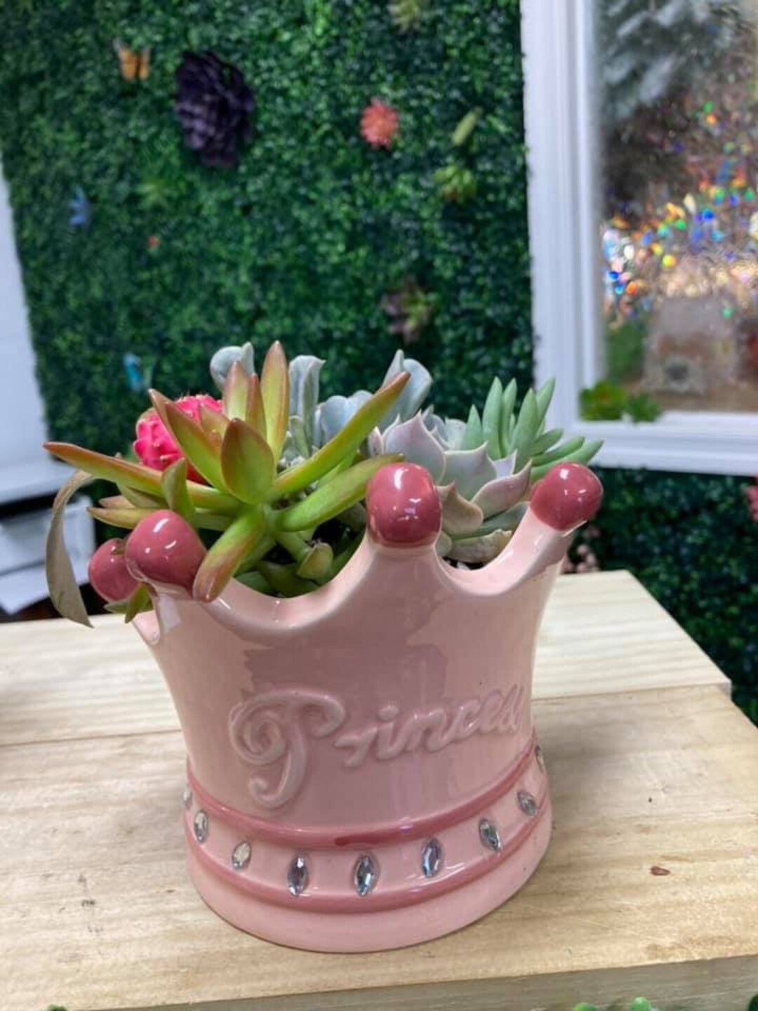 Princess Crown / Succulent Kit W/planter/ Succulent Pot/ Flower Pot ...