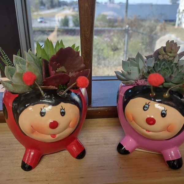 Ladybug Planters - Etsy