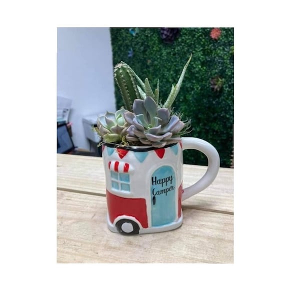 Home & Living Planters & Pots Simba Mug Succulent Kit Disney Lion King ...