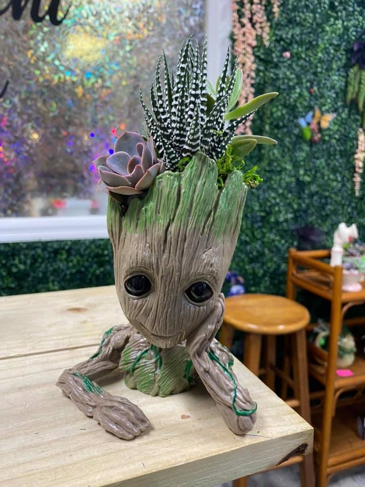 Baby Groot Planter W/live Succulent Plants / Easy Gardening Cactus ...