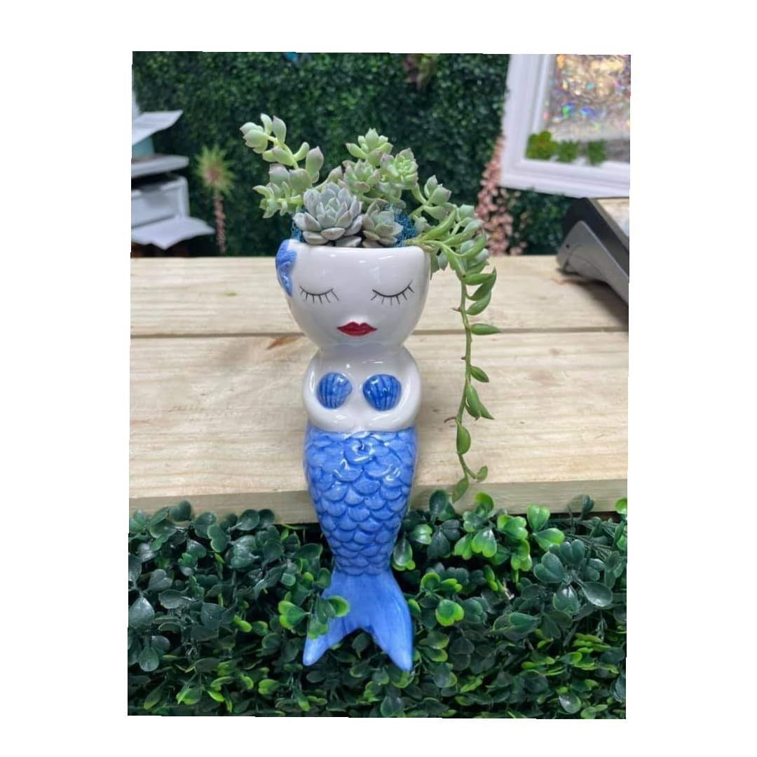 Beautiful Sitting Mermaid Planter With Live Succulent Plant Kit| DIY ...