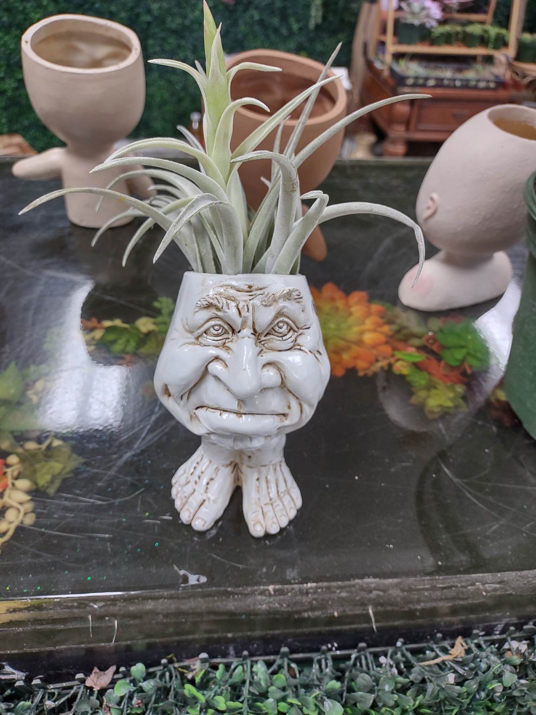 Cute Grumpy Head Planters With Live Succulent Kit/ Planter/indoor or ...