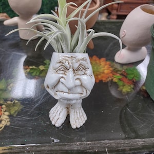 Cute Grumpy Head Planters With Live Succulent Kit/ Planter/indoor or ...