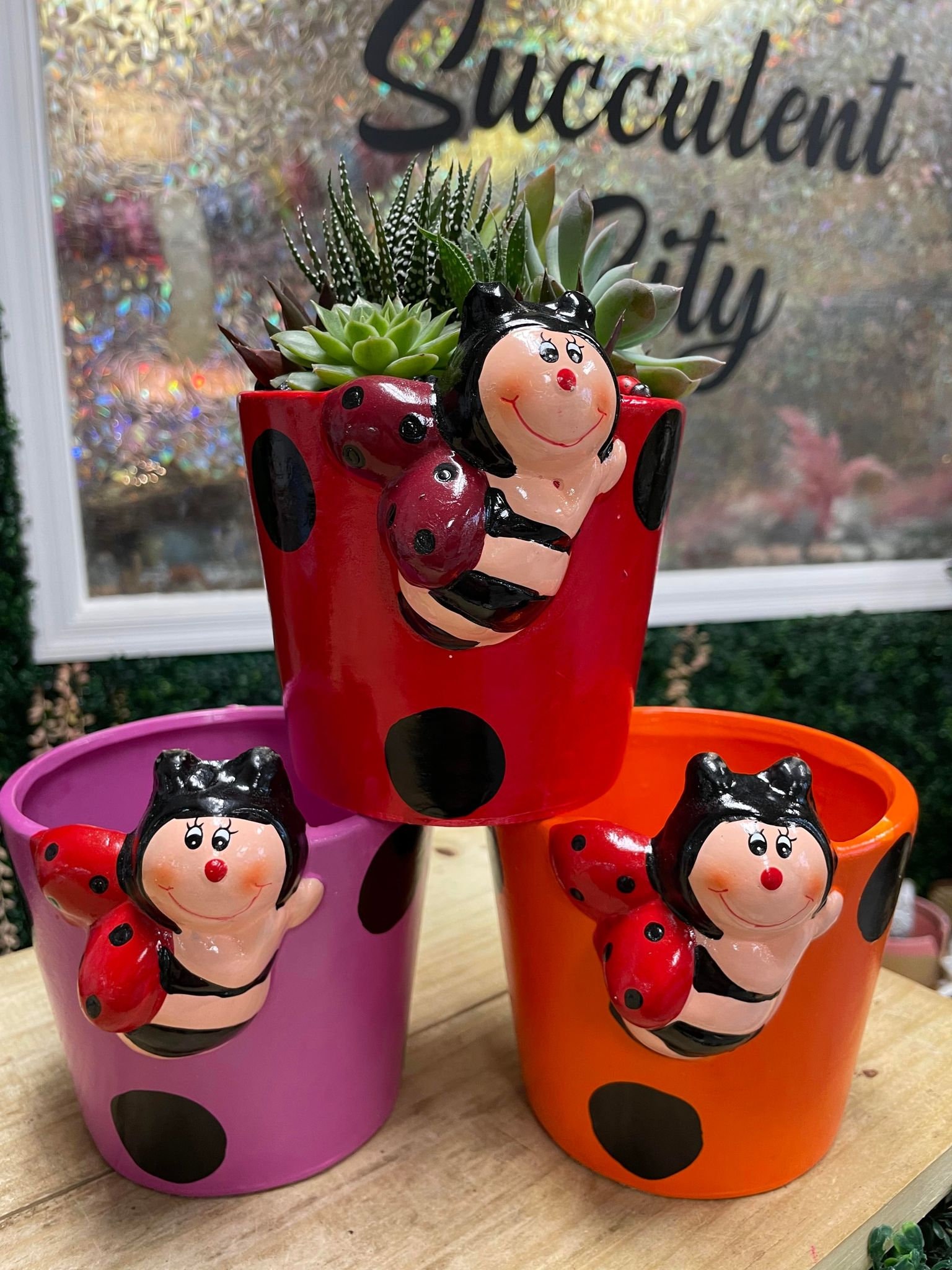 Ladybug Planter With or Without Live Succulent Kit Available in 3 ...