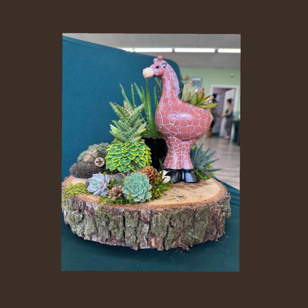 Giraffe on Wood Slab DIY Creation, Sold With Live Succulent Kit / Easy ...