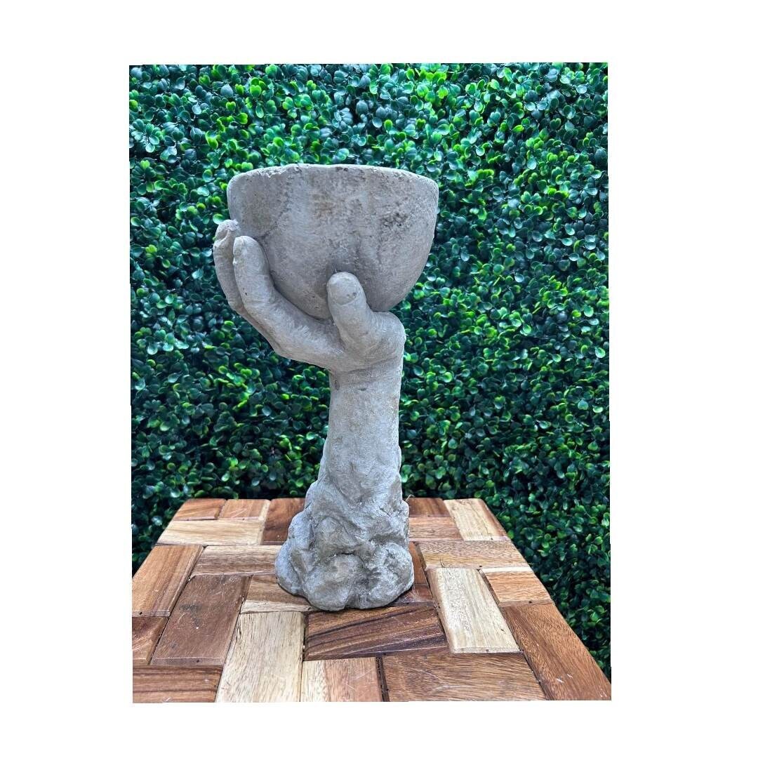 Cement Hand Planter / Succulent Kits/ House Plant or Outdoor W/care ...