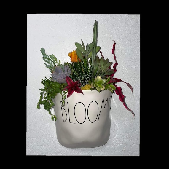 Rae Dunn Bloom Wall Planter With or Without Live Succulent Kit - Etsy