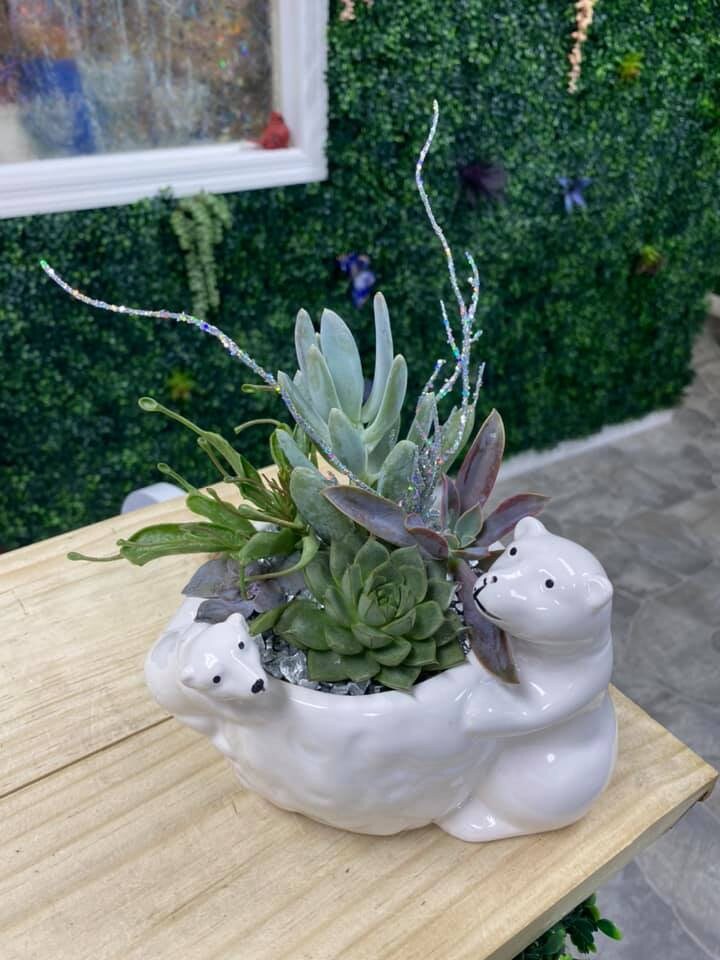 Polar Bear Planter With or Without Succulent Kit/custom - Etsy