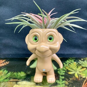 90s Nostalgia Troll Planters W/live Succulents or Air Plants / Easy ...