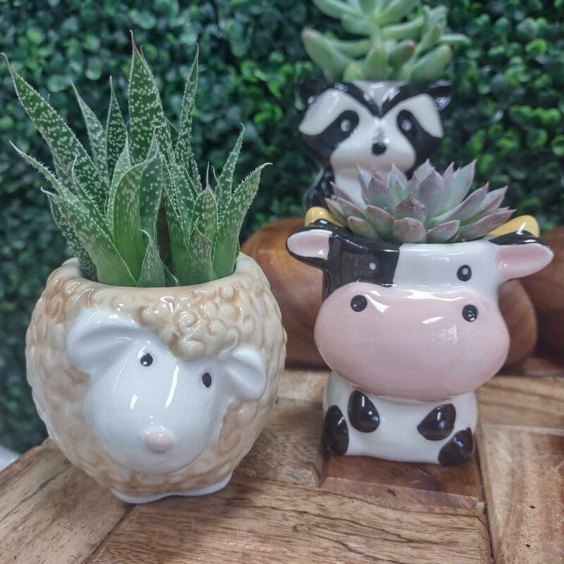 Animal Planters - Etsy