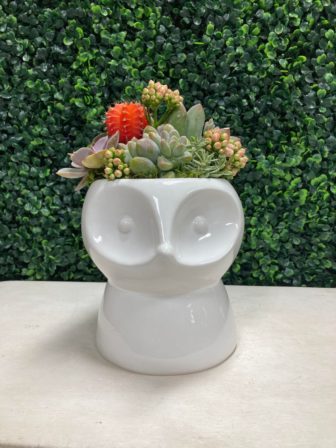 White Fox Planter With Live Succulents & Cactus Mix /office Desk Pen ...