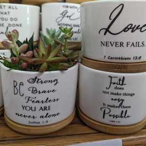 Bible Verse Ceramic Planters With Live Succulent Plant Kit / Christian ...