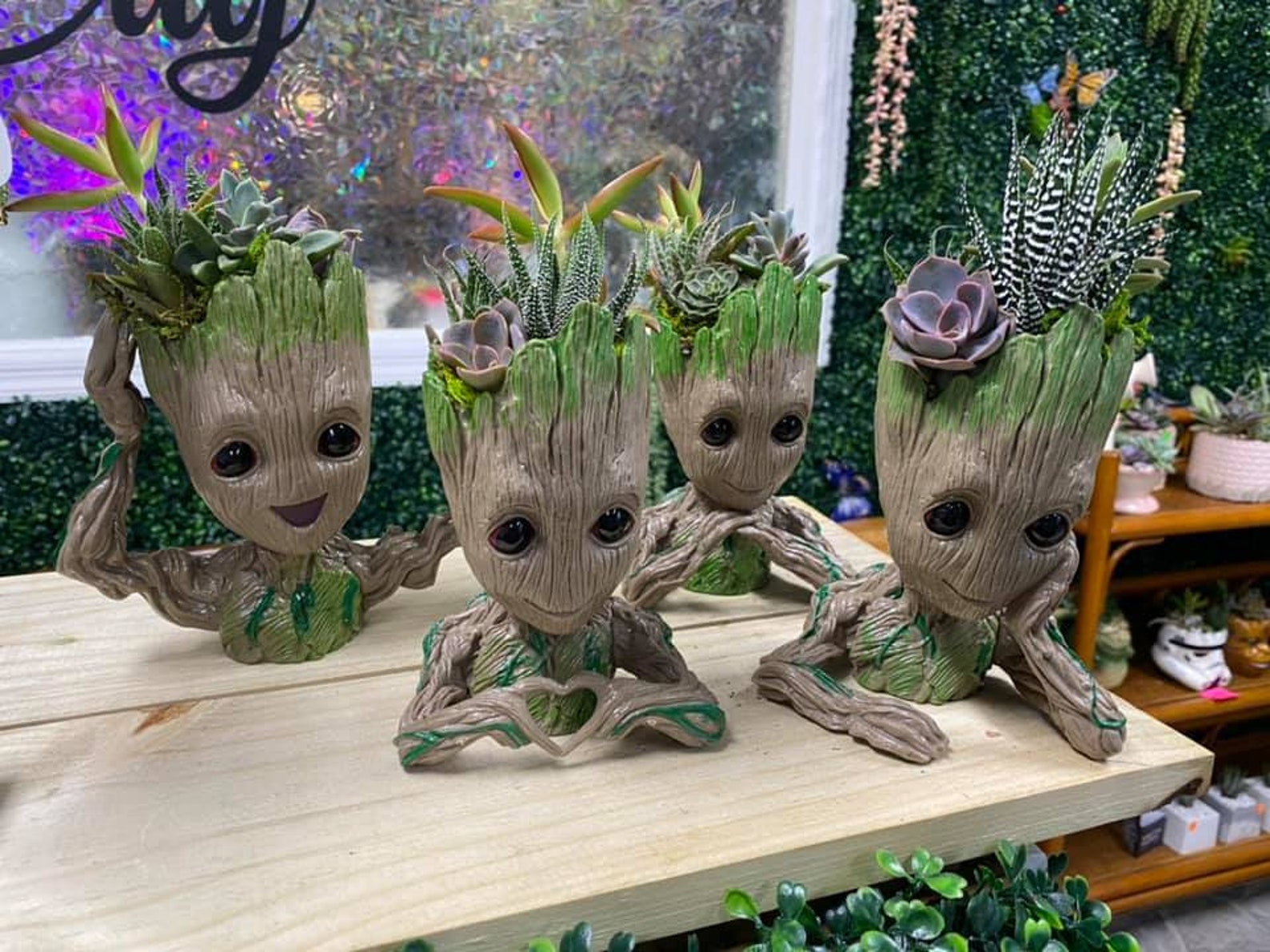 Baby Groot Planter W/live Succulent Plants / Easy Gardening Cactus ...