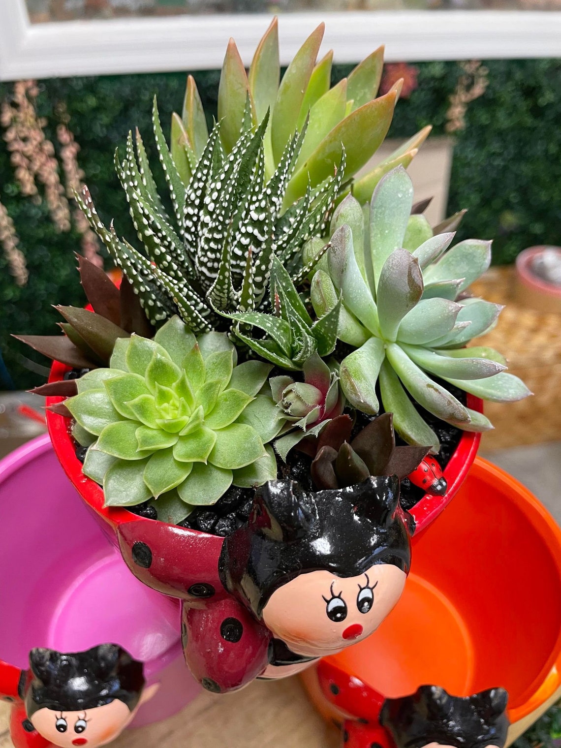 Ceramic Ladybug Planter With or Without Live Succulent Kit - Etsy