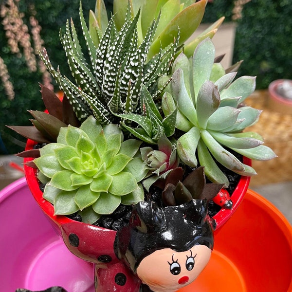 Ladybug Planters - Etsy