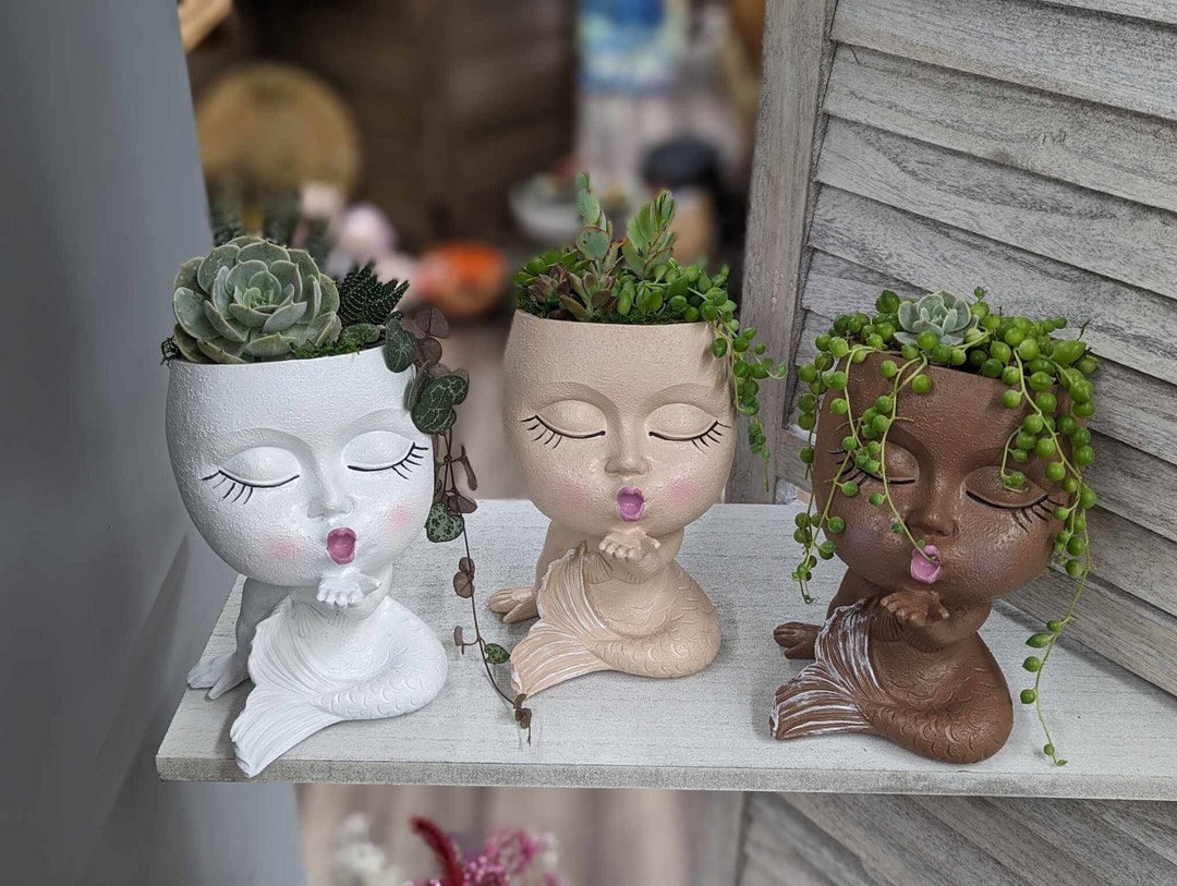 Adorable Mermaid Planters With Live Succulent Kit | Kissy Face | String ...