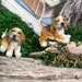 Hand Sculpted Mini Dogs Poly Resin Figurines for Wedding Cakes / 12 ...