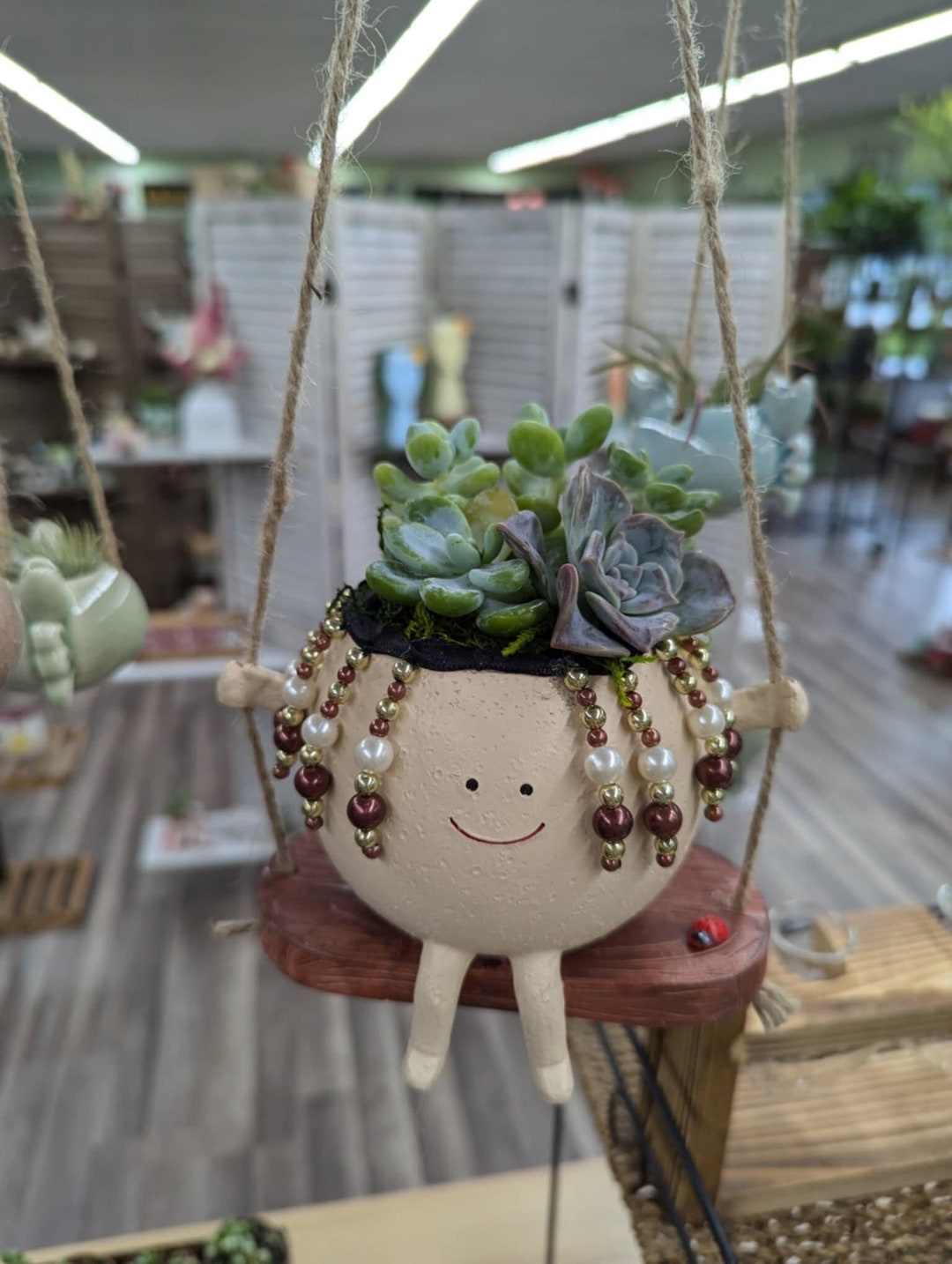 Reggae Hanging Planters With or Without Live Succulent Kit / Hanging ...