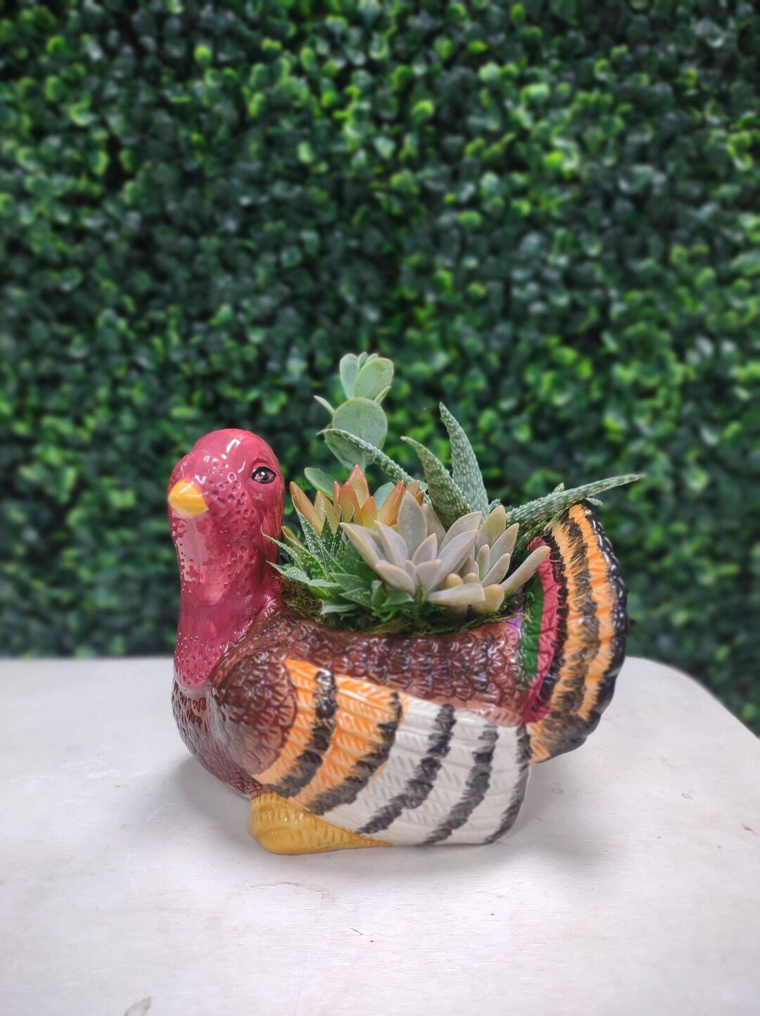 Ceramic Turkey Planter W/ or W/out Live Succulent Kit / Easy Plants ...