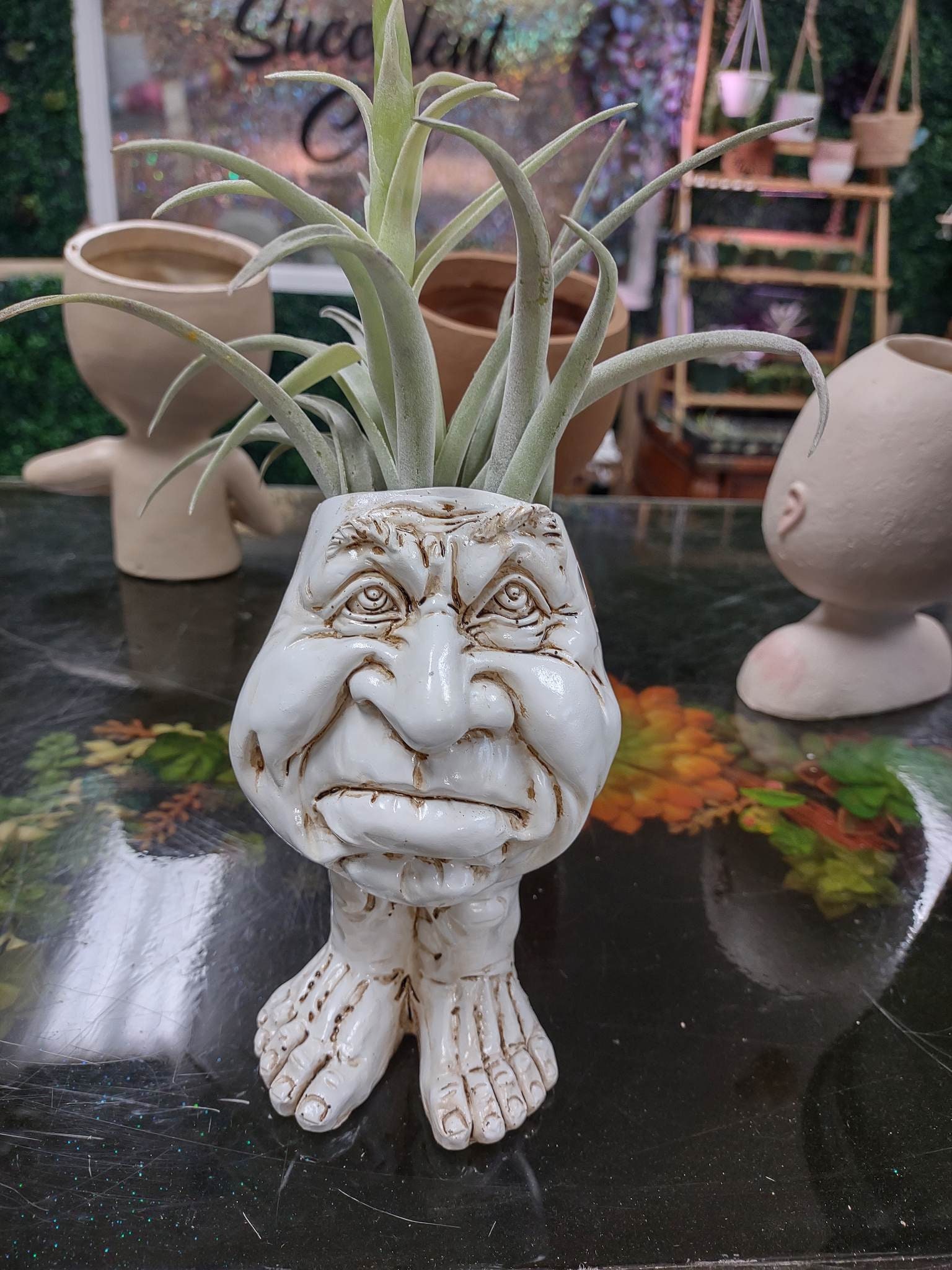 Cute Grumpy Head Planters With Live Succulent Kit/ Planter/indoor or ...