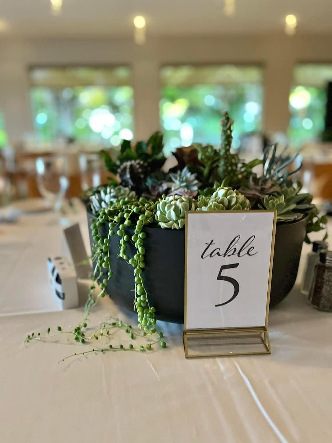 Succulent Wedding Centerpiece/live Plants/elegant Table/ Party/bridal ...