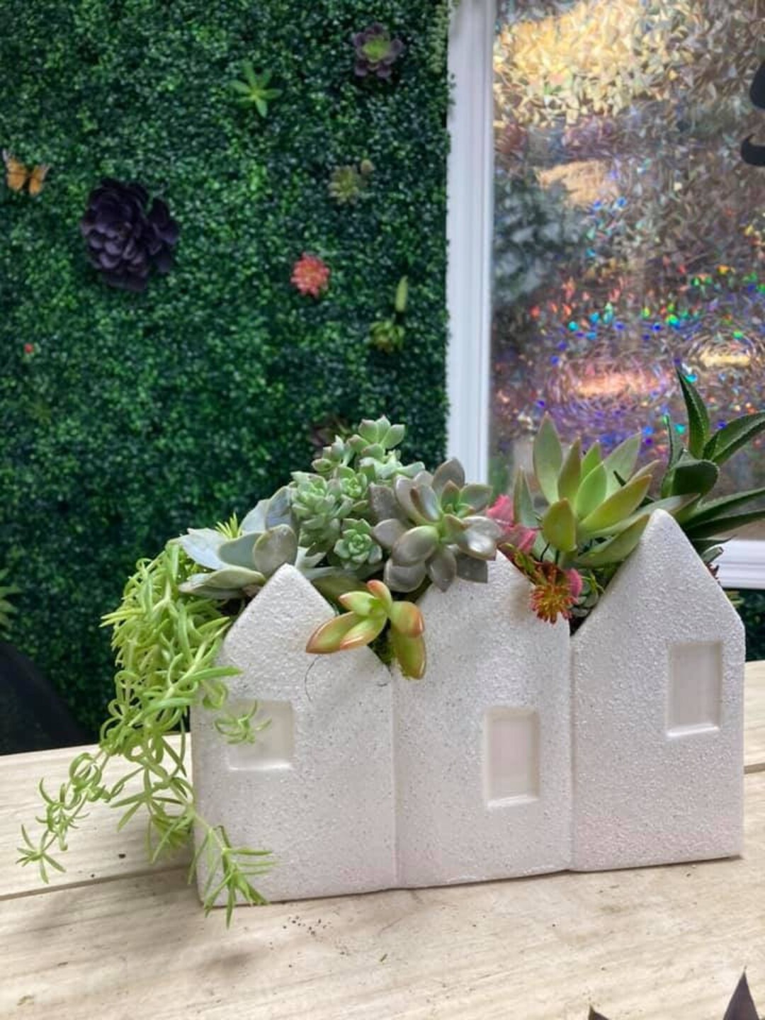 Houses Live Succulent Garden Planter / Real Estate Closing Gift / Live ...
