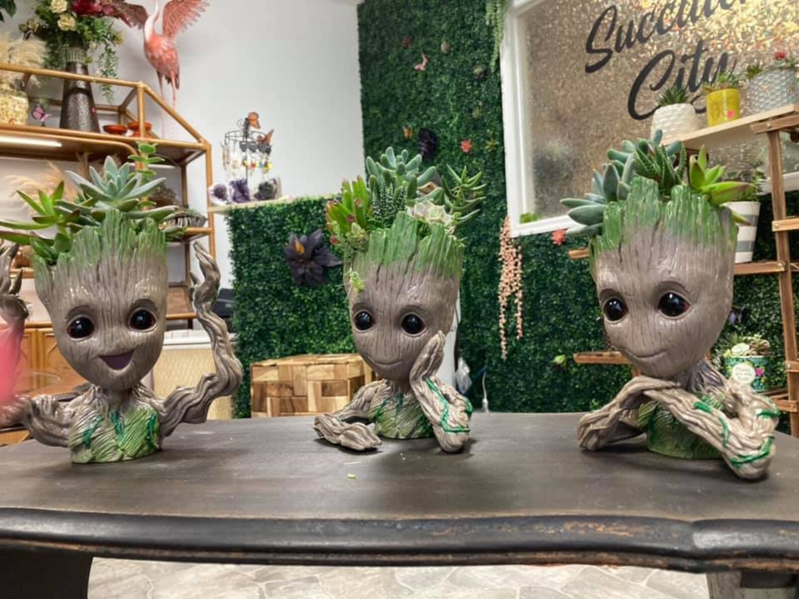 Baby Groot Planter W/live Succulent Plants / Easy Gardening Cactus ...