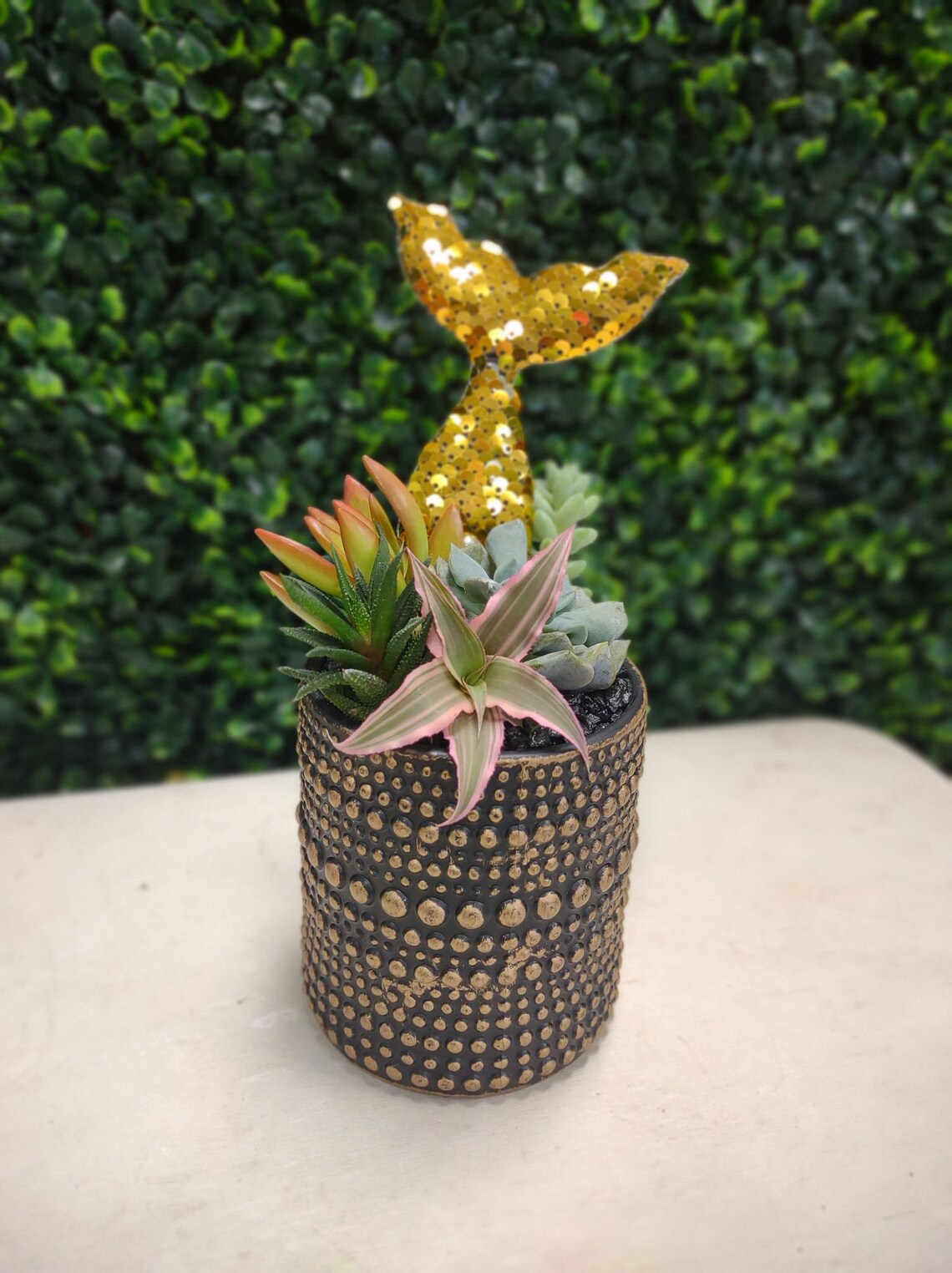 Beautiful Mermaid Planter W/tail DIY Kit Live Plants - Etsy