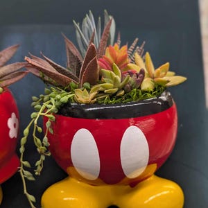 Mickey or Minnie Mouse Planters With or Without Live Succulent Kit ...