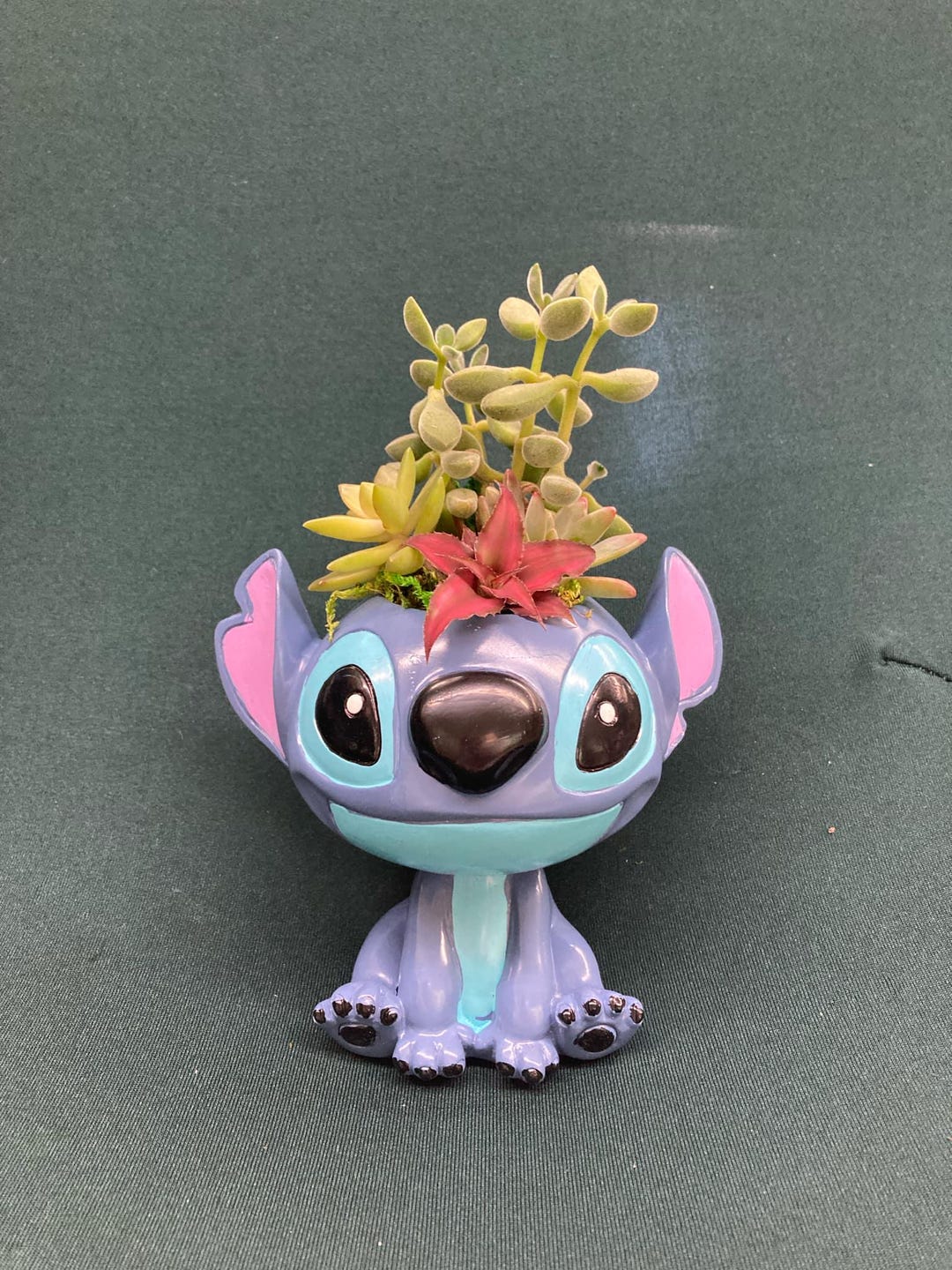 Stitch Planter With Drainage With or Without Live Succulent Kit ...