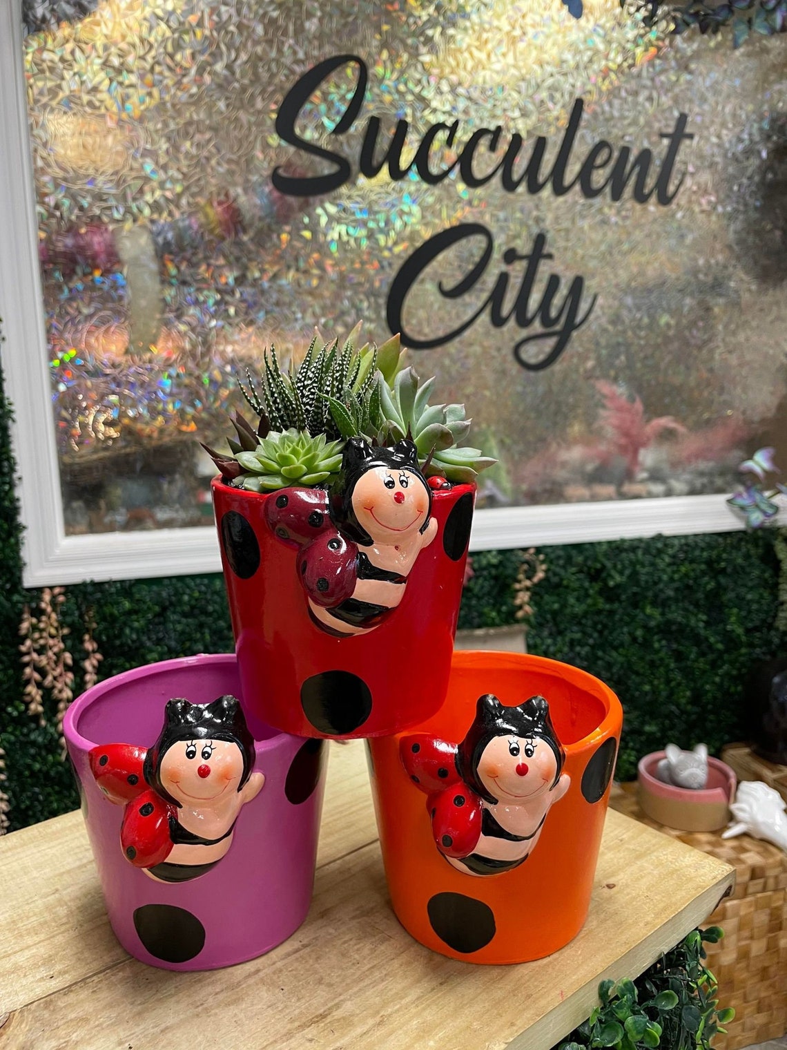 Ladybug Planter With or Without Live Succulent Kit Available in 3 ...