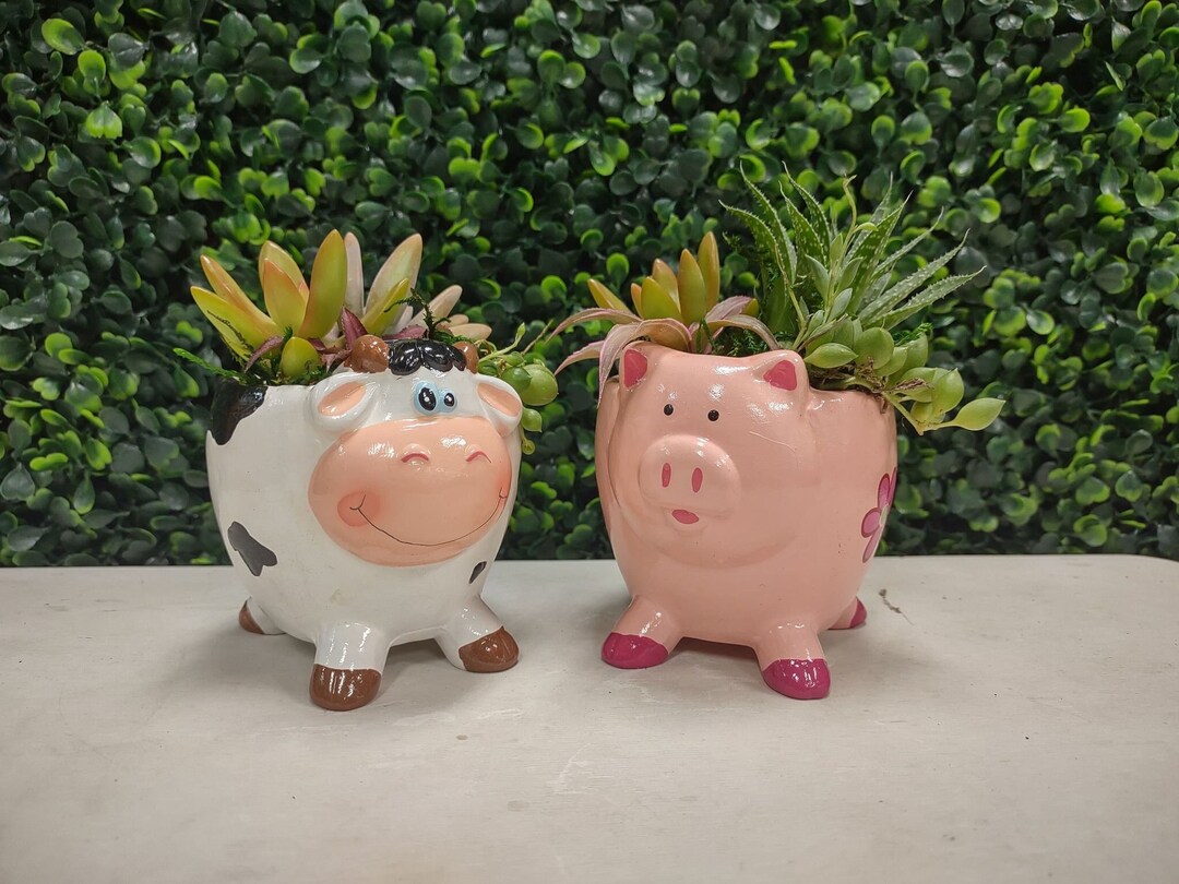 Cow or Pig Planter With or Without Live Succulent Kit / Custom ...