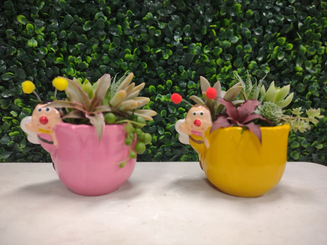 Cute Bumble Bee Planter With or Without Live Succulent Kit / Easy Plant ...
