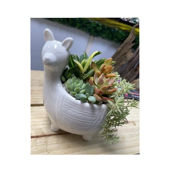 Ceramic Llama - Etsy