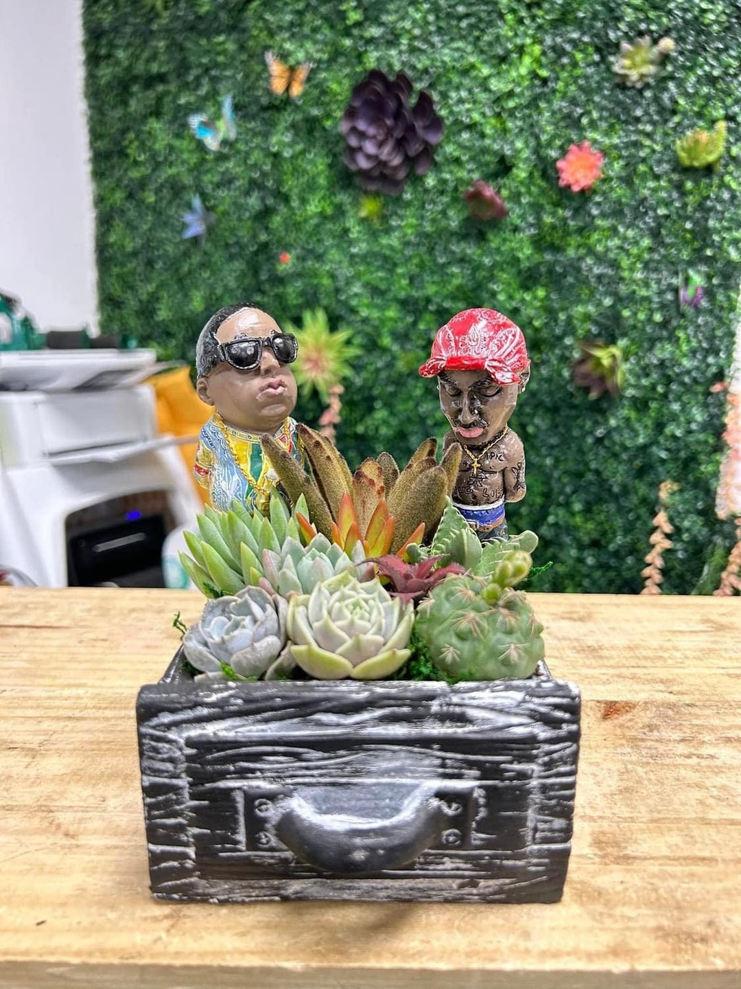 Rapper Figurine on Drawer Succulent Arrangement | Live Plants | DIY ...