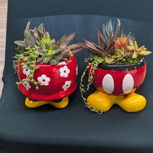 Mickey or Minnie Mouse Planters With or Without Live Succulent Kit ...
