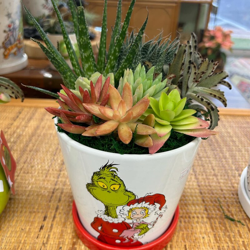 Grinch Pot Plant - Etsy