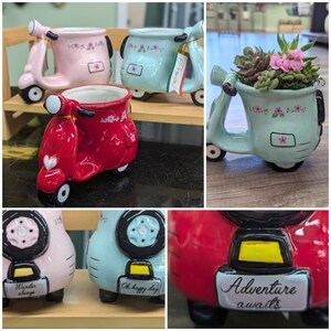 Adorable Scooter Planter With Floral Print/ With or Without Live ...