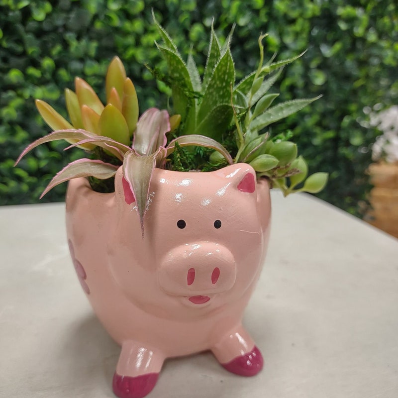 Pig Planter - Etsy