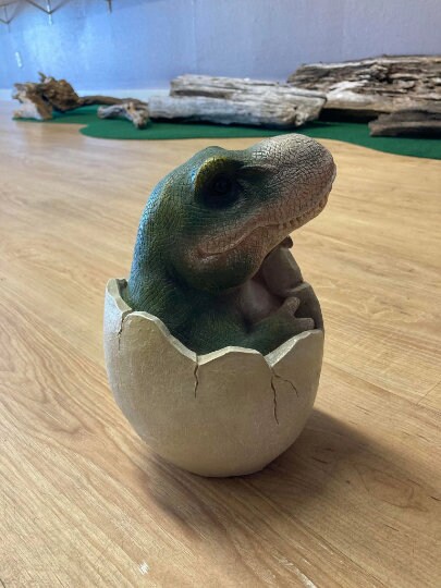Baby Dinosaur Hatching / Tyrannosaurus Rex / Dino / Eggs / - Etsy