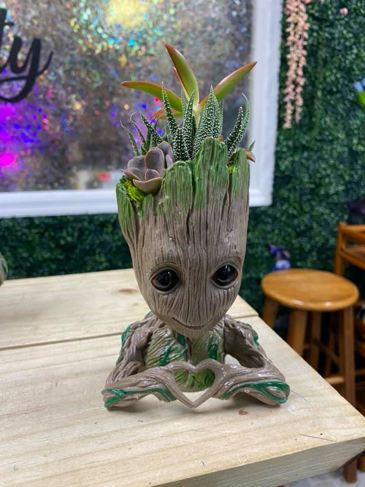 Baby Groot Planter W/live Succulent Plants / Easy Gardening - Etsy
