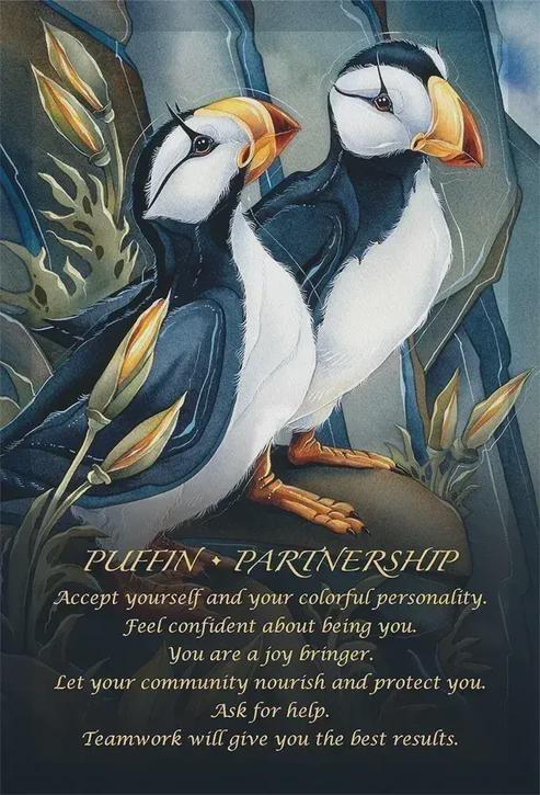 Animal Spirit Oracle Deck | Nature Wisdom Cards, Spiritual Gift - Etsy