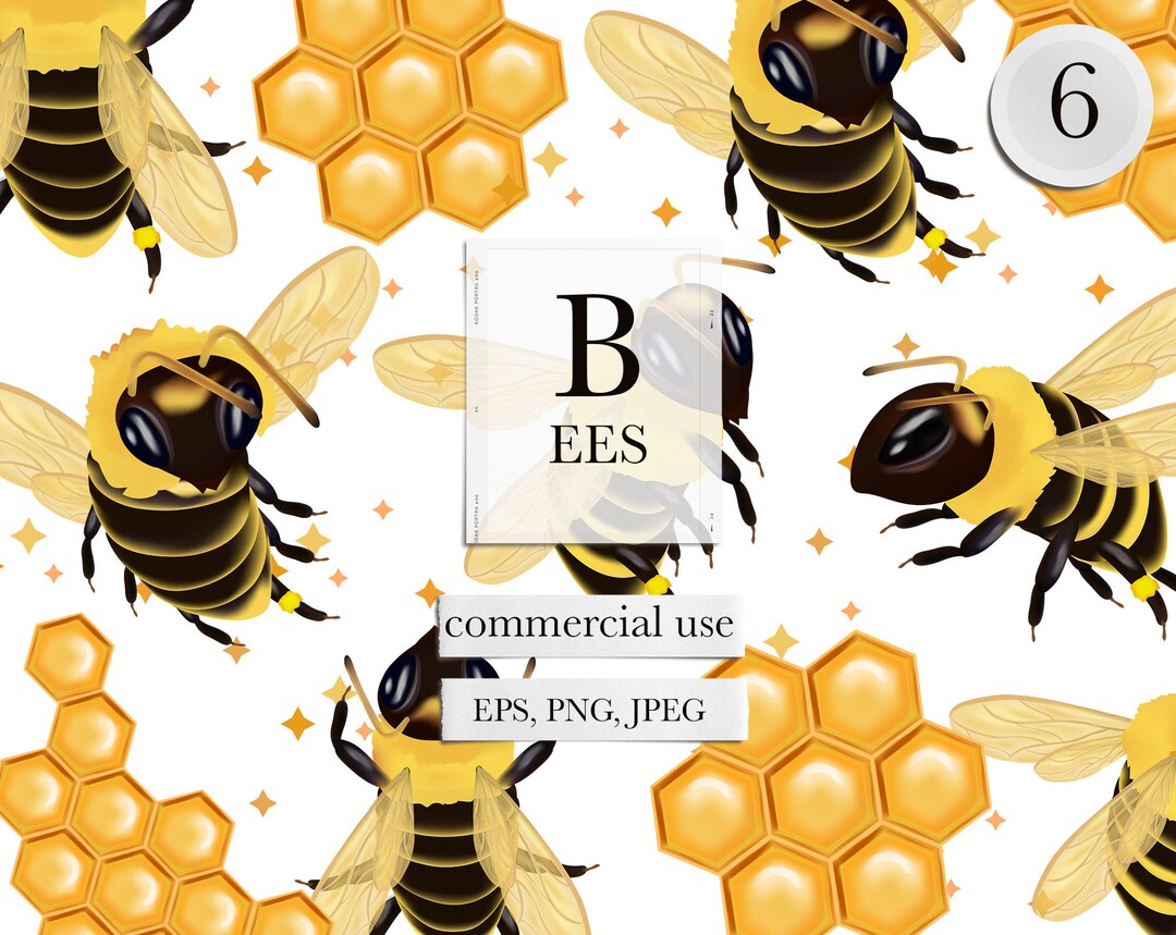 Bee Clipart, Kawaii Clipart, Busy Bee Png, Honey Bee Decor, Bee Happy ...