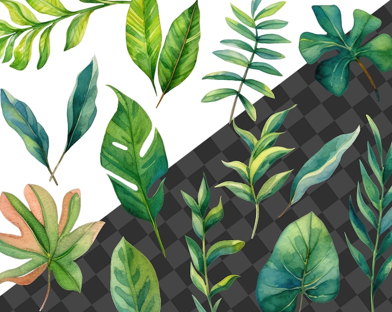 Jungle Nursery Decor, Kawaii Clipart, Monstera Print, Palm Leaf ...